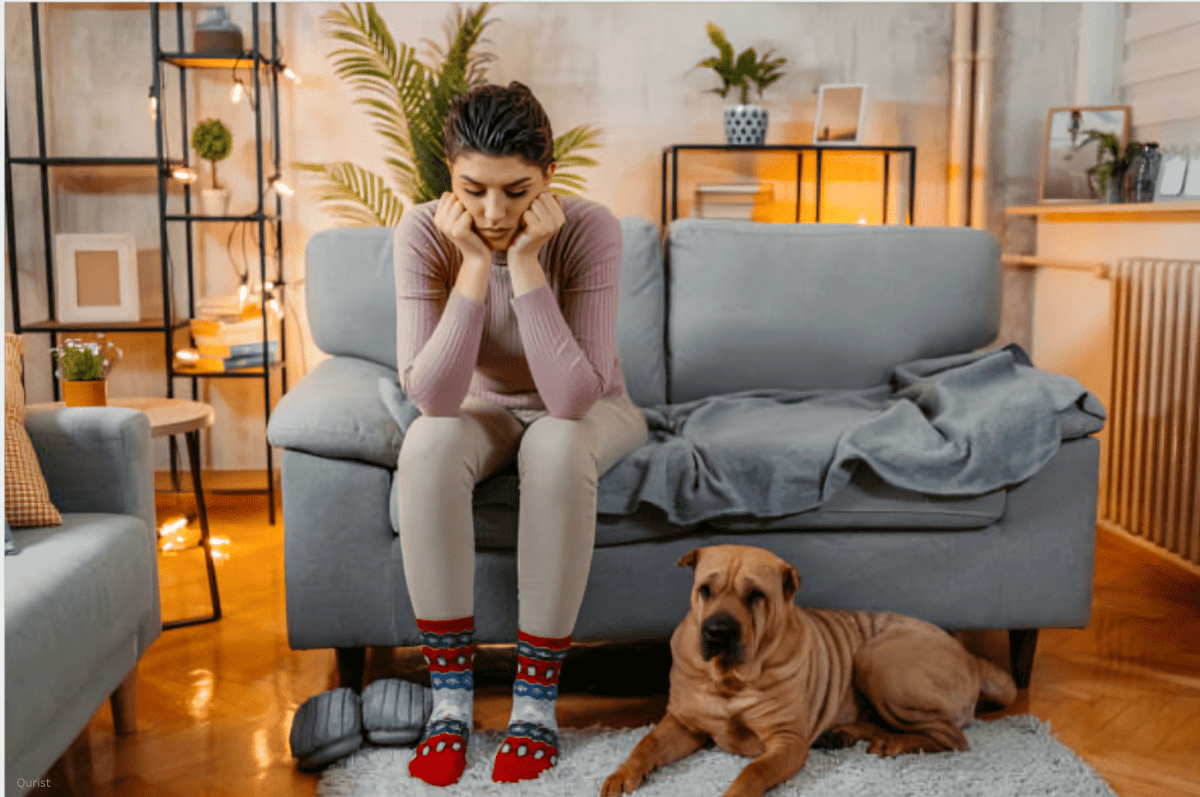 Separation Anxiety in Dogs: Signs, Causes & Treatment 2025