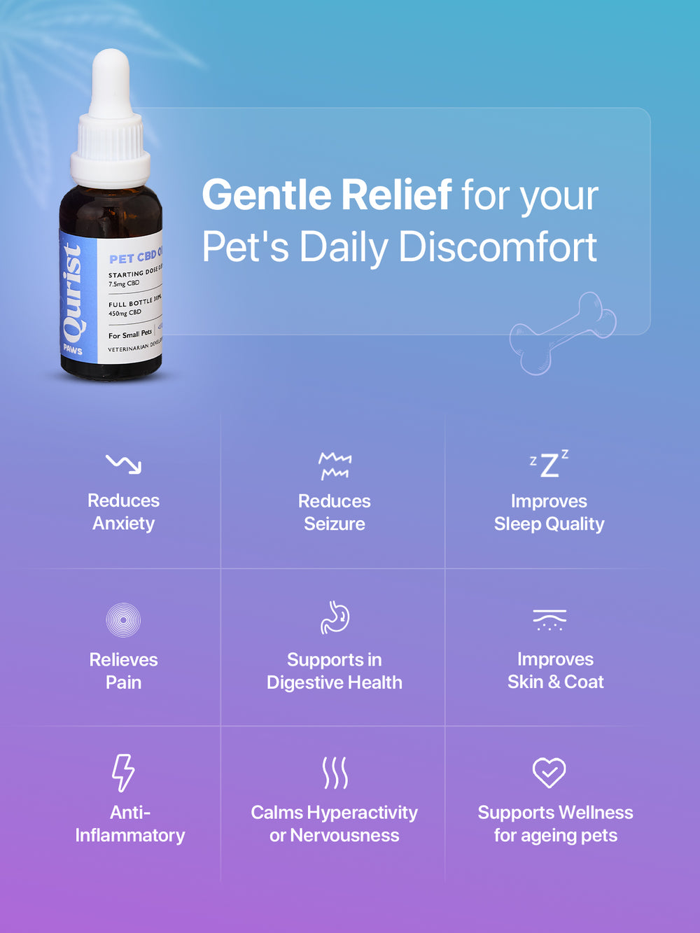 Buy Pet CBD Oil Online | Dogs Pain & Anxiety Relief Oil