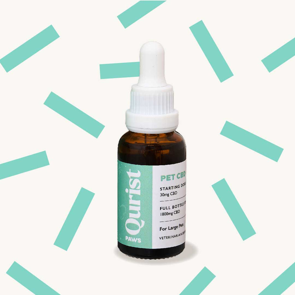 Buy Pet CBD Oil Online | Dogs Pain & Anxiety Relief Oil