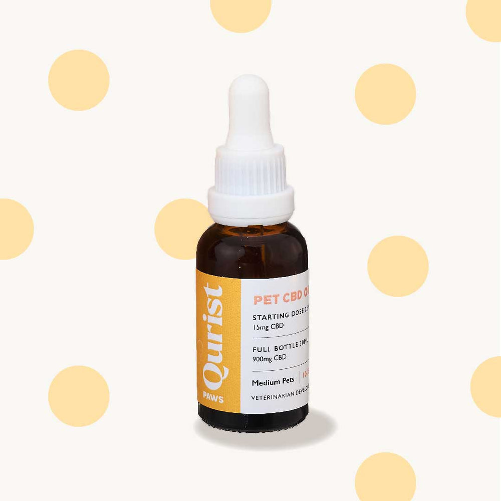 Buy Pet CBD Oil Online | Dogs Pain & Anxiety Relief Oil